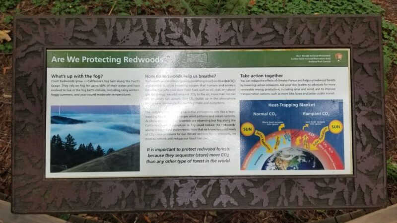 San Fransico: Muir Woods & Marin Headlands Private Tour - An In-Depth Look at the Itinerary