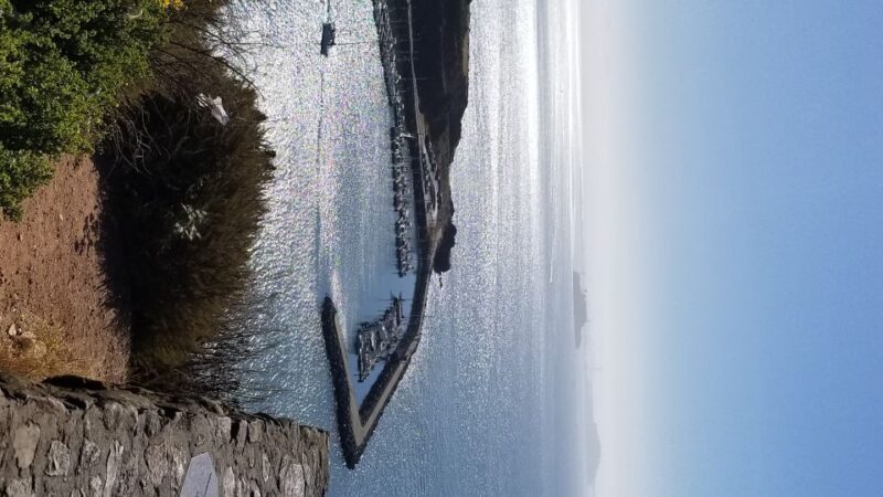 San Fransico: Muir Woods & Marin Headlands Private Tour - Final Thoughts