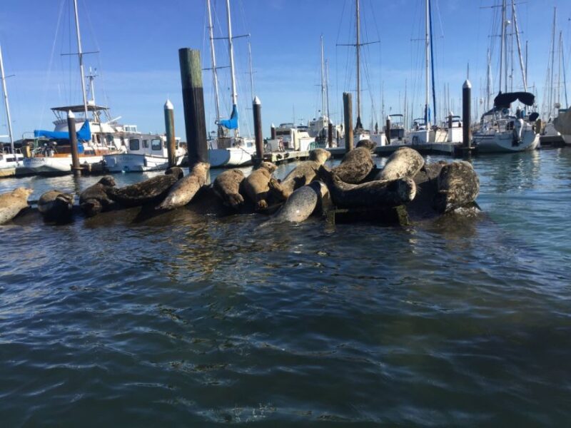 San Fransico: Muir Woods & Marin Headlands Private Tour - FAQ