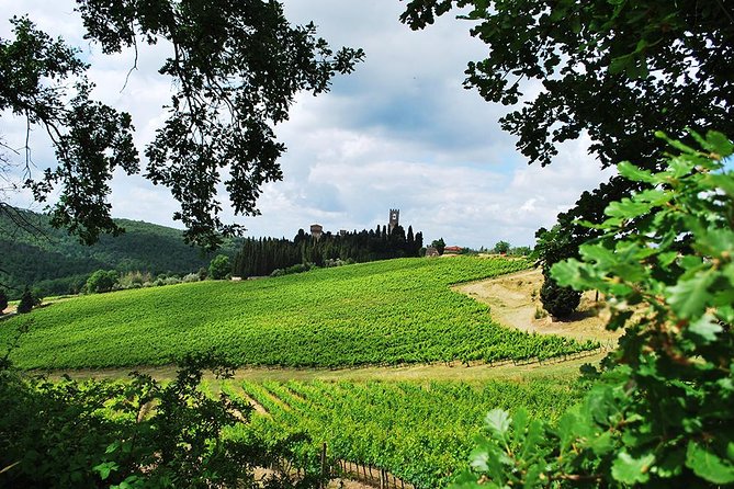 San Gimignano and Chianti Classico Wine and Food PRIVATE TOUR from Florence - An In-Depth Look at the Experience