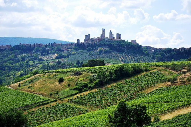 San Gimignano and Chianti Classico Wine and Food PRIVATE TOUR from Florence - Practical Details and Tips