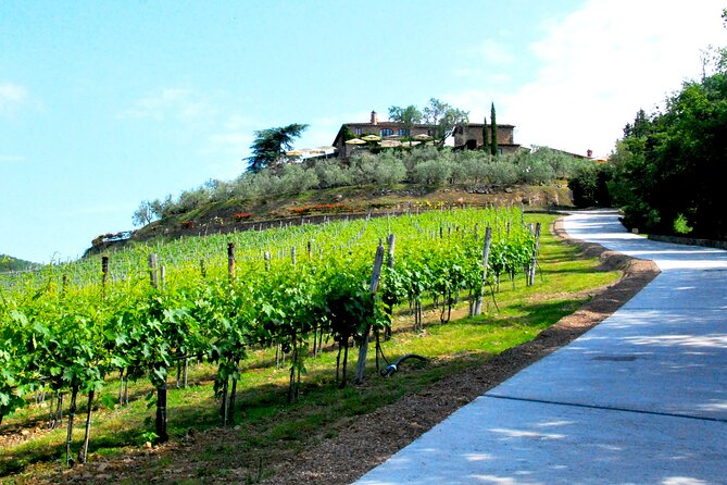 San Gimignano and Chianti Classico Wine and Food PRIVATE TOUR from Florence - Frequently Asked Questions