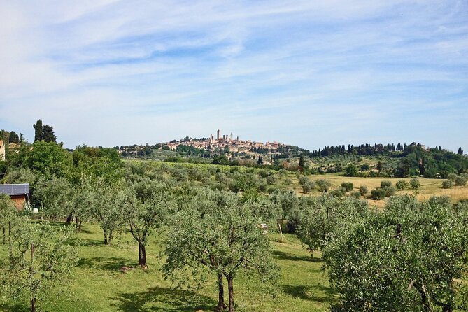 San Gimignano and Winery Experience With Light Lunch From Pisa - Chianti Wine Tasting Experience