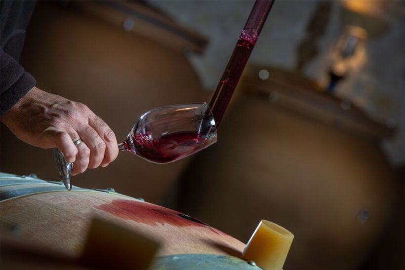 San Gimignano: Barrel Wine Tasting at a Winery - Key Points