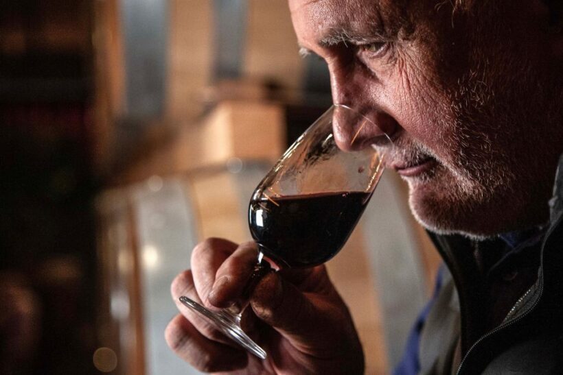 San Gimignano: Barrel Wine Tasting at a Winery - An In-Depth Look at the Wine Tasting Experience