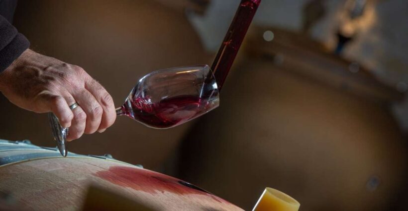 San Gimignano: Barrel Wine Tasting at a Winery - Analyzing the Value