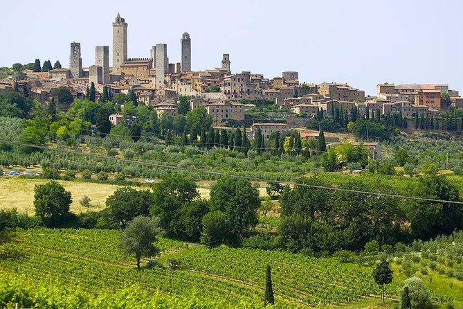 San Gimignano, Chianti, and Montalcino Day Trip From Siena - Wine Tasting in Montalcino