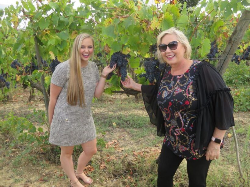 San Gimignano: Chianti Hills Tuk-Tuk Tour for 2 - Who Will Love This Tour?