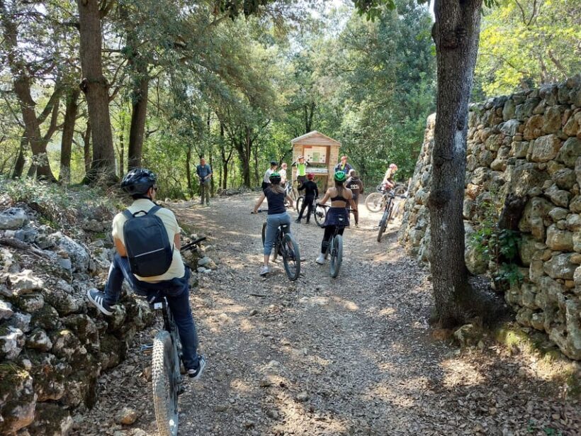 San Gimignano: E-Bike Tour with Tasting - An In-Depth Look at the Experience