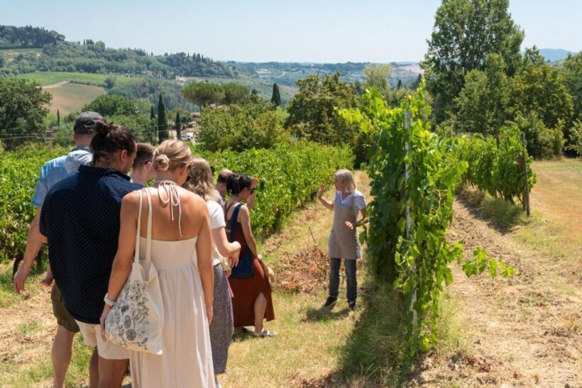 San Gimignano: Premium Wine Tour with Lunch - Exploring the Itinerary in Detail