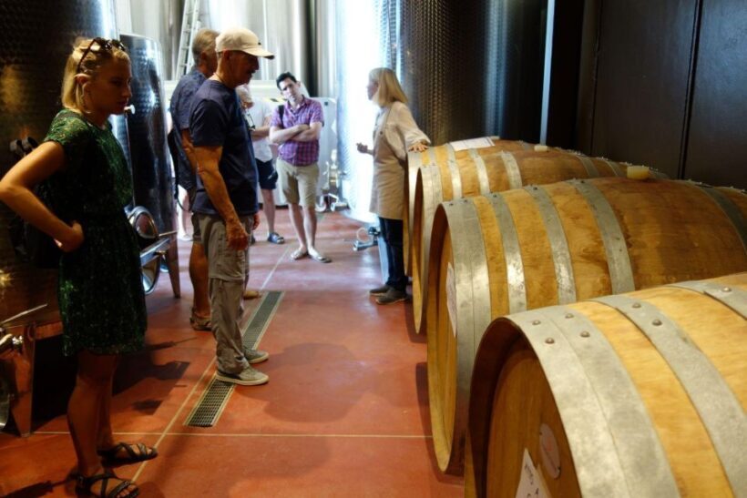 San Gimignano: Premium Wine Tour with Lunch - Practical Details and Tips