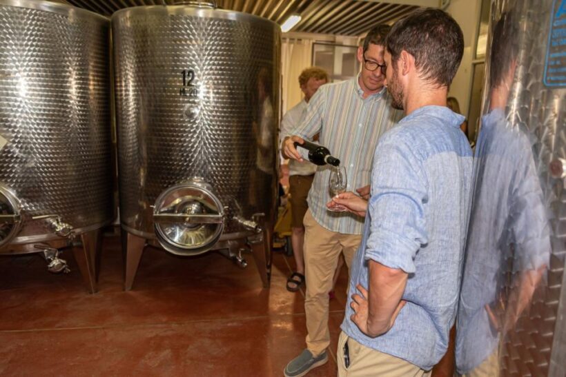 San Gimignano: Premium Wine Tour with Lunch - Who Is This Tour Best For?