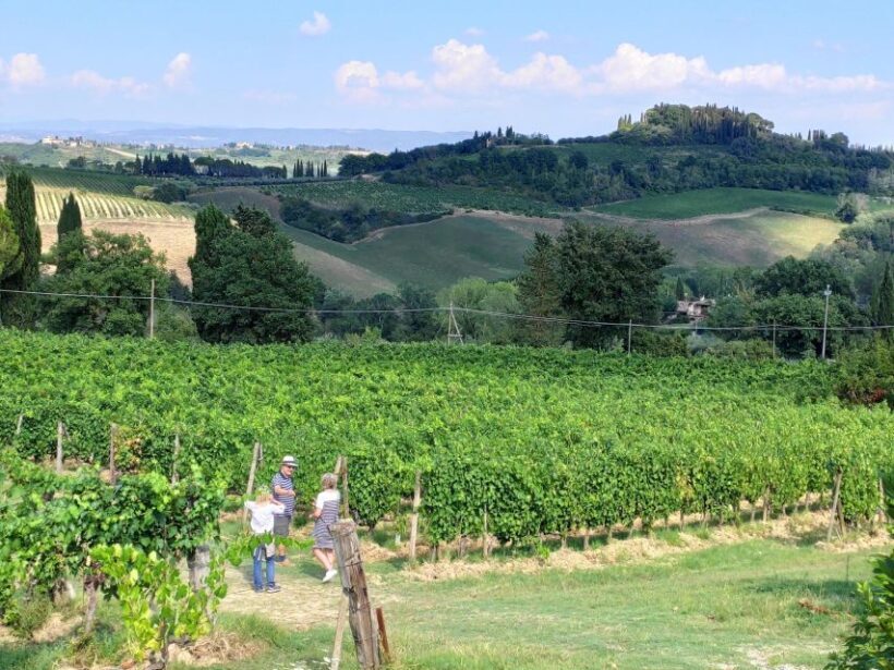 San Gimignano: Premium Wine Tour with Lunch - Final Thoughts
