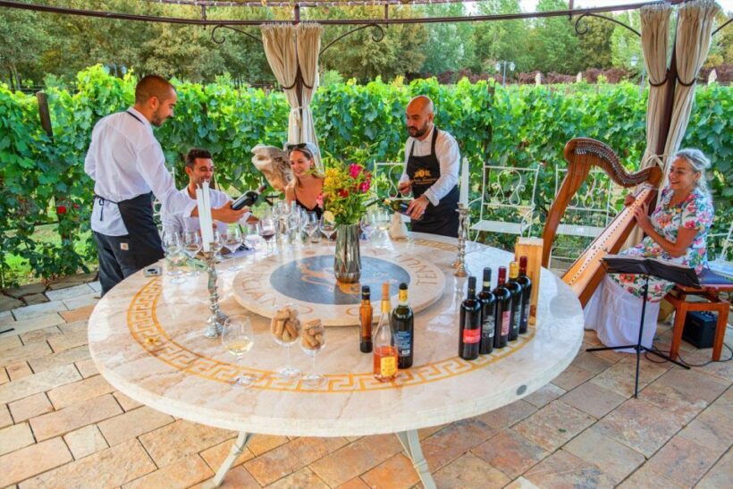 San Gimignano: Private Dinner in Spiral Vineyard and Tasting - Key Points