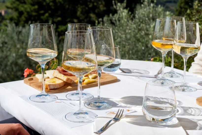 San Gimignano: Professional Wine Tasting Experience - A Closer Look at the Experience