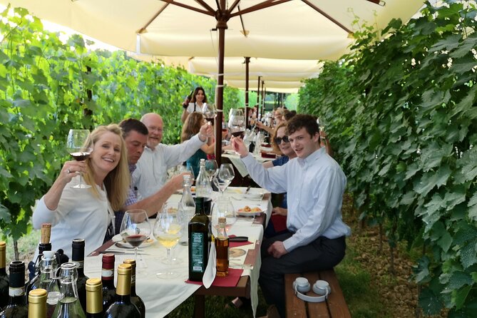 San Gimignano Romantic Dinner in the Vineyards - Insights Into the Venue and Atmosphere