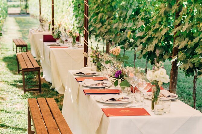 San Gimignano Romantic Dinner in the Vineyards - Analyzing Customer Feedback and Experiences