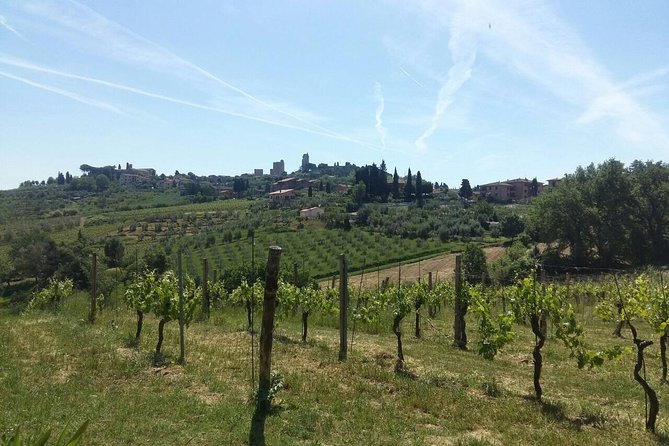 San Gimignano, Saffron and Vernaccia Wine from Florence - The Sum Up
