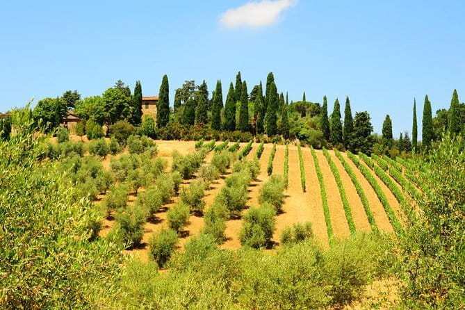 San Gimignano, Siena, Monteriggioni: Fully Escorted Tour, Lunch & Wine Tasting - What the Tour Does Well