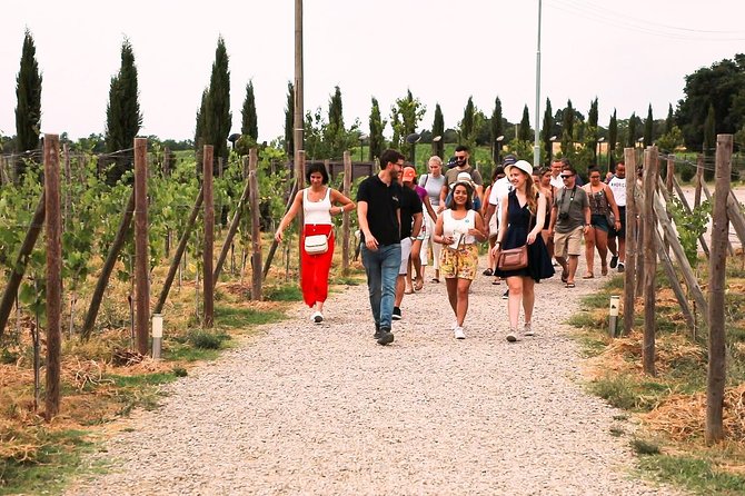 San Gimignano, Siena, Monteriggioni: Fully Escorted Tour, Lunch & Wine Tasting - Frequently Asked Questions