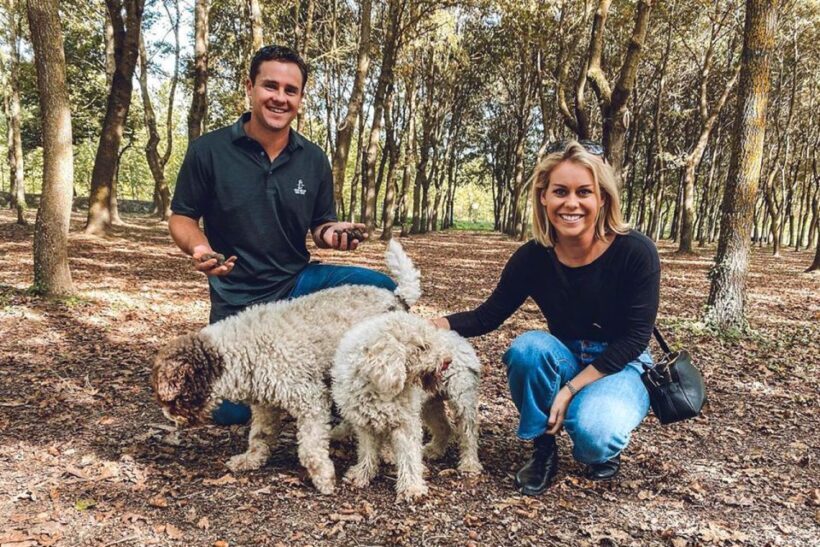 San Gimignano: Truffle Hunting with Lunch & Wine Tasting - The Wine & Olive Oil Tasting