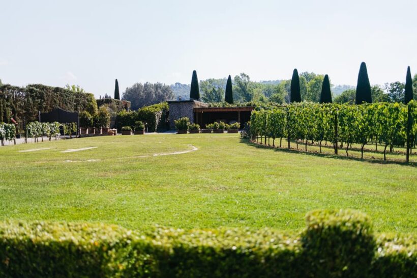 San Gimignano: Tuscan Vineyard Lunch with Wine Tasting - Who Should Consider This Tour?