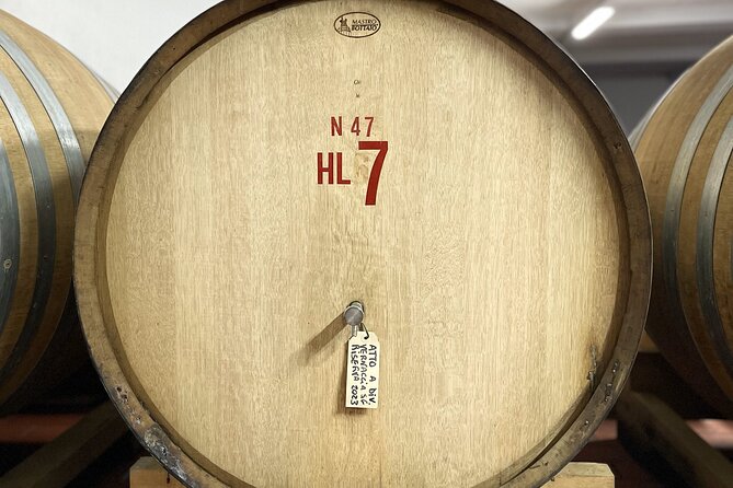 San Gimignano: Vineyard and Cellar Tour with Wine Tasting - Practical Details & Tip