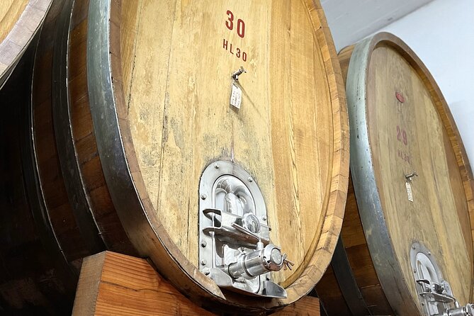 San Gimignano: Vineyard and Cellar Tour with Wine Tasting - The Bottom Line