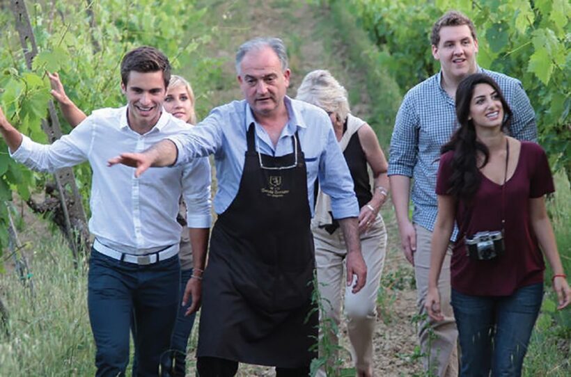 San Gimignano: Vineyard Walk with Wine Tasting in winery - Learning about the Estate’s History and Winemaking