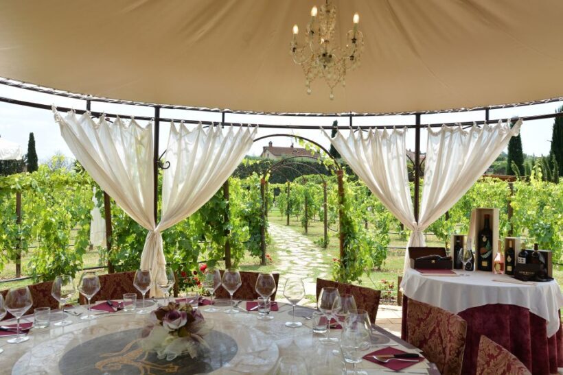 San Gimignano: Vineyard Walk with Wine Tasting in winery - The Wine Tasting Experience