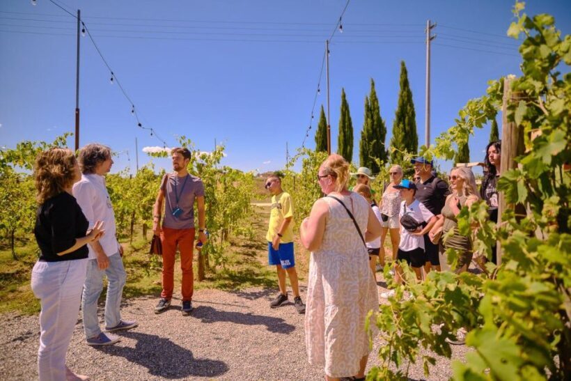 San Gimignano, Volterra, St Galgano Abbey small group tour - Who Will Love This Tour?