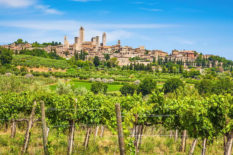 San Gimignano: Wine and Oil Tasting with Tuscan Appetizers - Practical Details That Matter