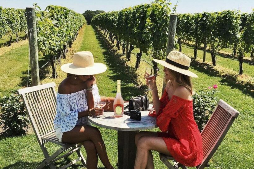 San Gimignano Wine Tasting and Class in Winery for Beginners - An Honest, Practical Look at the Experience