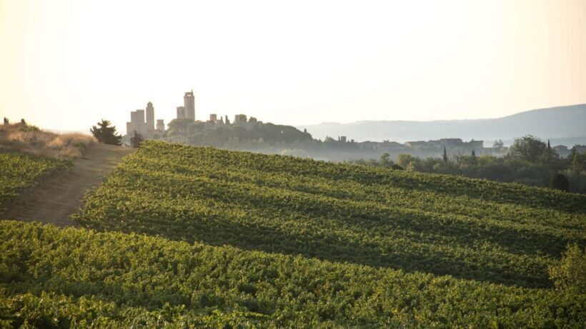 San Gimignano: Wine Tasting in an Organic Family Winery - Introduction to the Experience