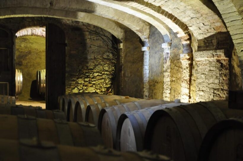 San Gimignano: Wine Tasting in an Organic Family Winery - FAQ