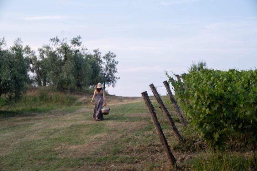 San Gimignano: Wine Tasting with Aperitivo in the Vineyard - Key Points