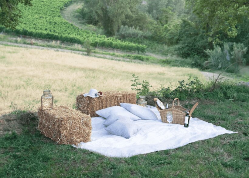 San Gimignano: Wine Tasting with Aperitivo in the Vineyard - The Wine Tasting: Seven Unique Flavors
