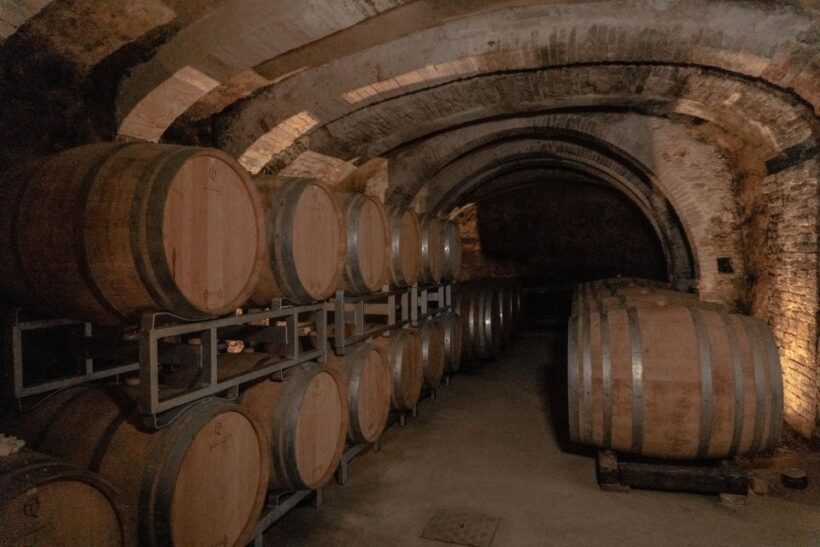 San Gimignano: Wine Tasting with Food Pairing - Final Thoughts