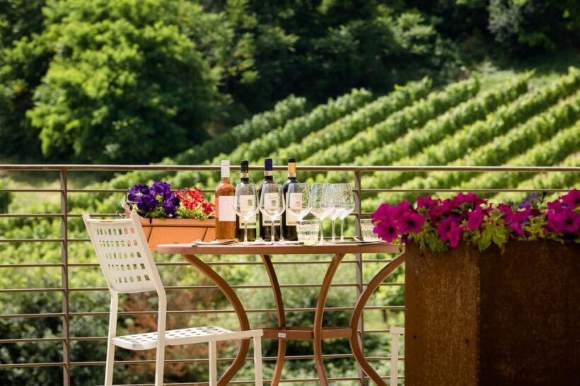 San Gimignano: Winery Visit with Picnic in Olive Grove - Who Should Consider This Experience?