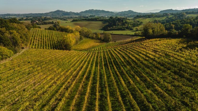 San Gregorio Tasting - What’s Included and Practical Details
