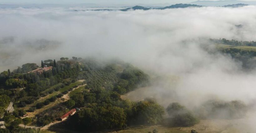 San Gregorio Tasting - The Sum Up