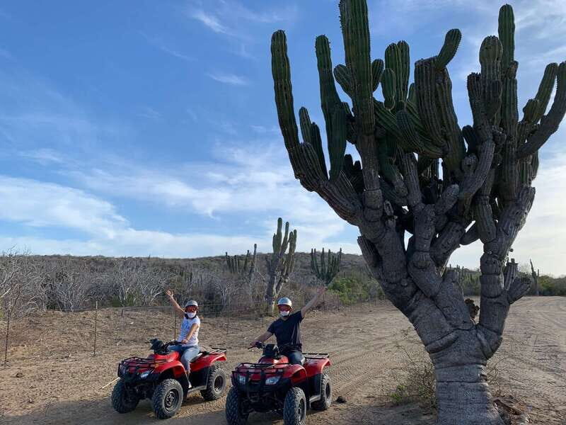 San José del Cabo: 2-Hour ATV Tour - Final Thoughts: Is This Experience for You?