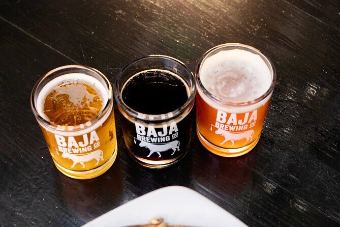 San Jose del Cabo Art Walk, Beer Tasting &Chocolate Demonstration - Who Is This Tour Best For?