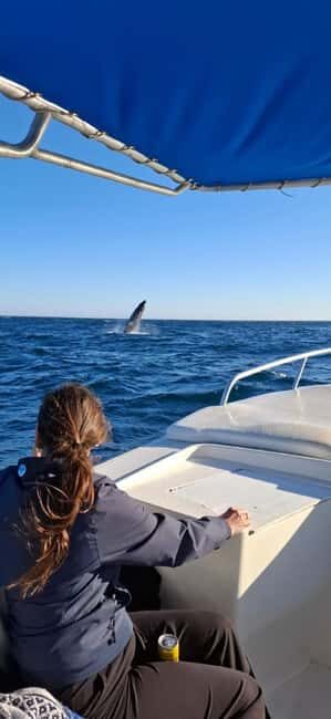 San José del Cabo: Ocean Safari - Practical Tips for Your Safari