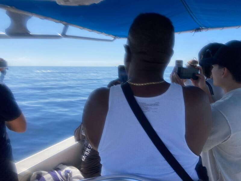 San José del Cabo: Ocean Safari - FAQ