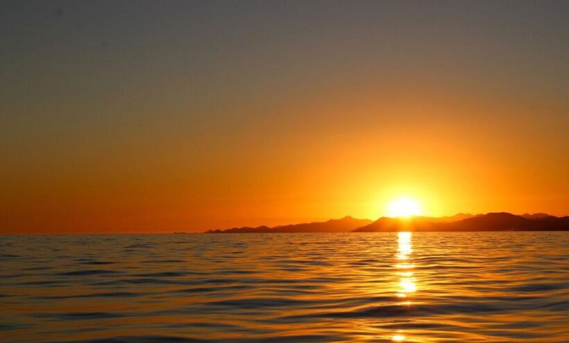 San Jose del Cabo private Sunset cruise - The Cruise Itself: What to Expect