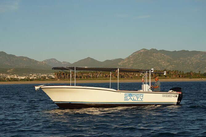 San Jose del Cabo Small-Group Sunrise Whale Watching - What Does the Itinerary Look Like?