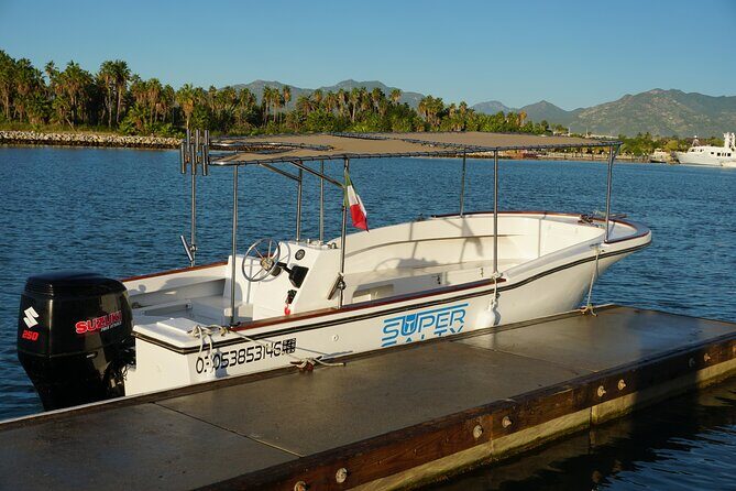 San Jose del Cabo Small-Group Sunrise Whale Watching - Weather and Seasonality