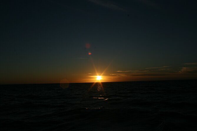 San Jose del Cabo Small-Group Sunrise Whale Watching - Practical Details
