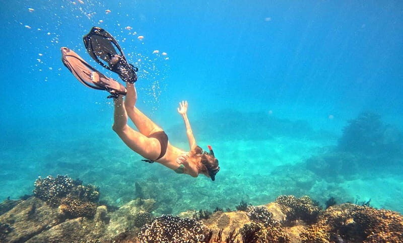 San Jose del Cabo Snorkeling Tour - A Closer Look at What’s on Offer